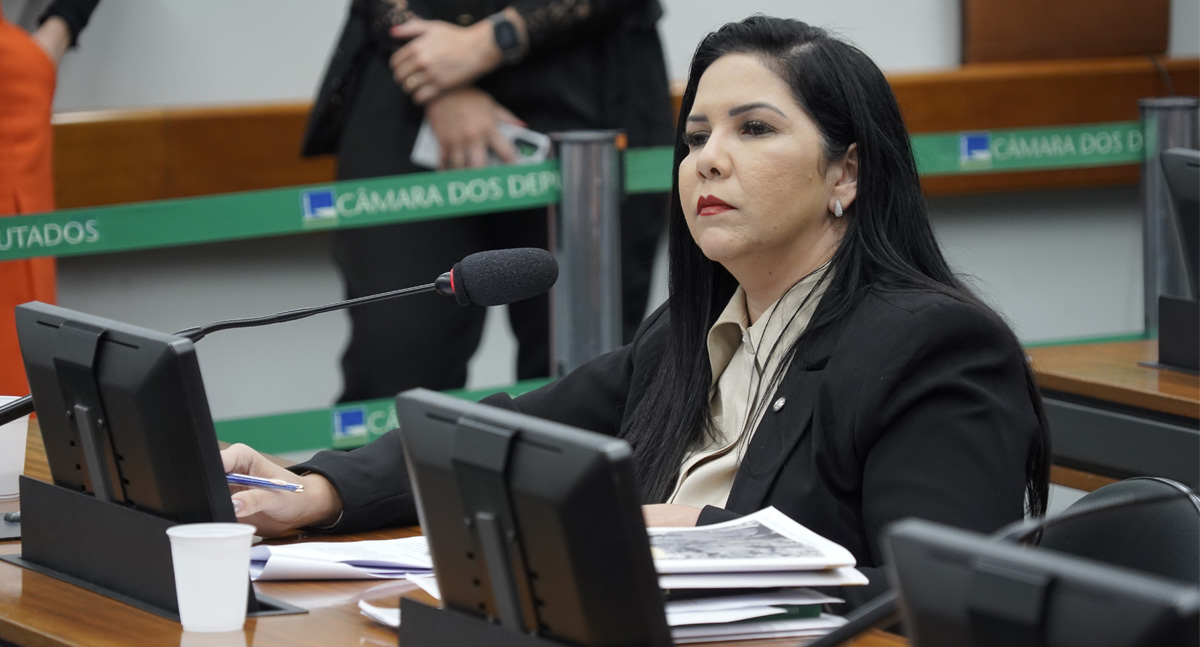 Fortalecimento das penas para furto e roubo é defendido pela Deputada ...