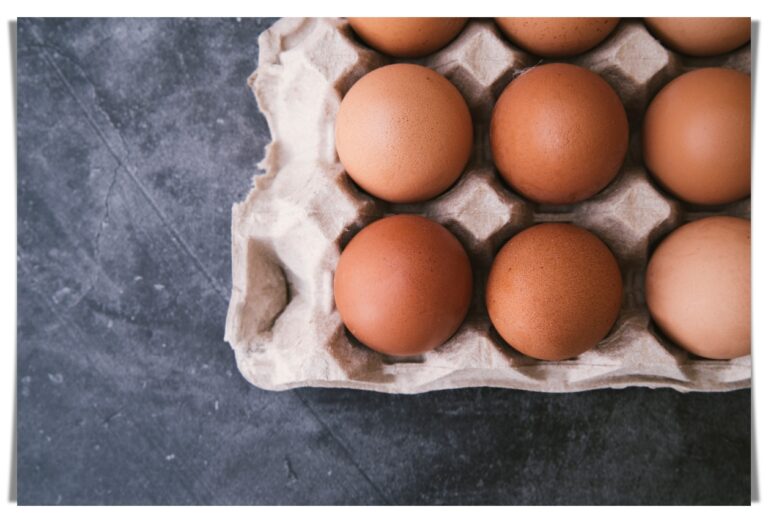 Devo guardar ovos na geladeira? Entenda a melhor forma de conservar seus ovos - News Rondônia
